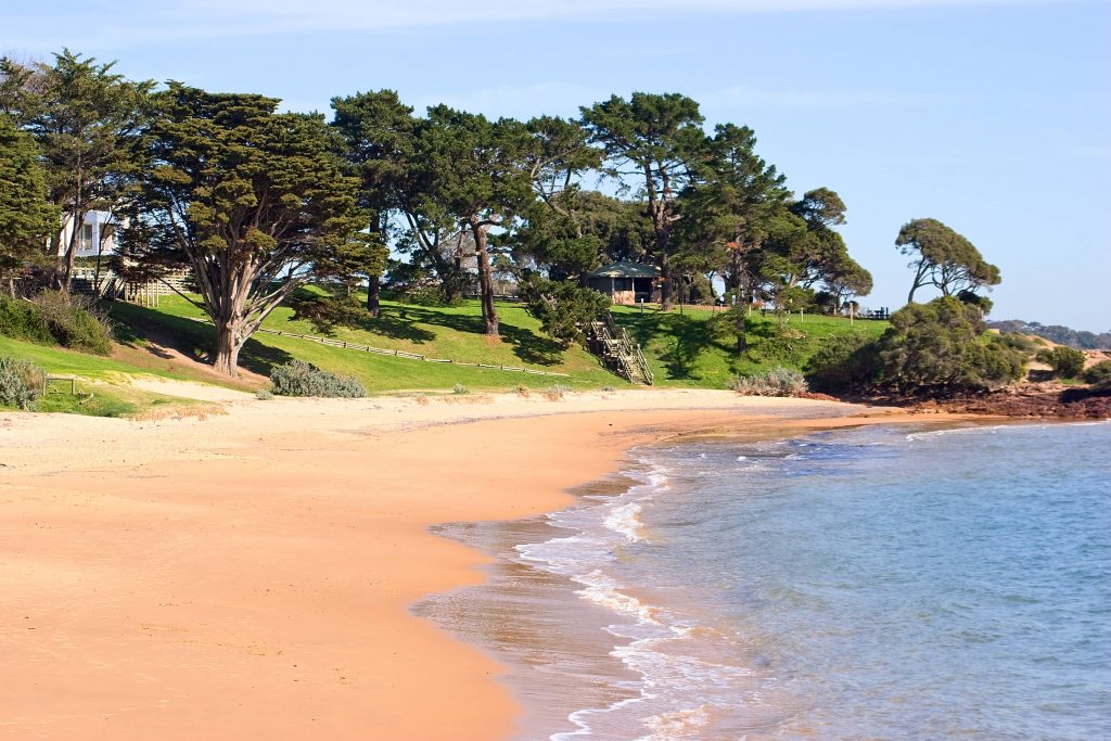 TechnologyOne CiA HRP System Review for a Local Council | Lánluas ...